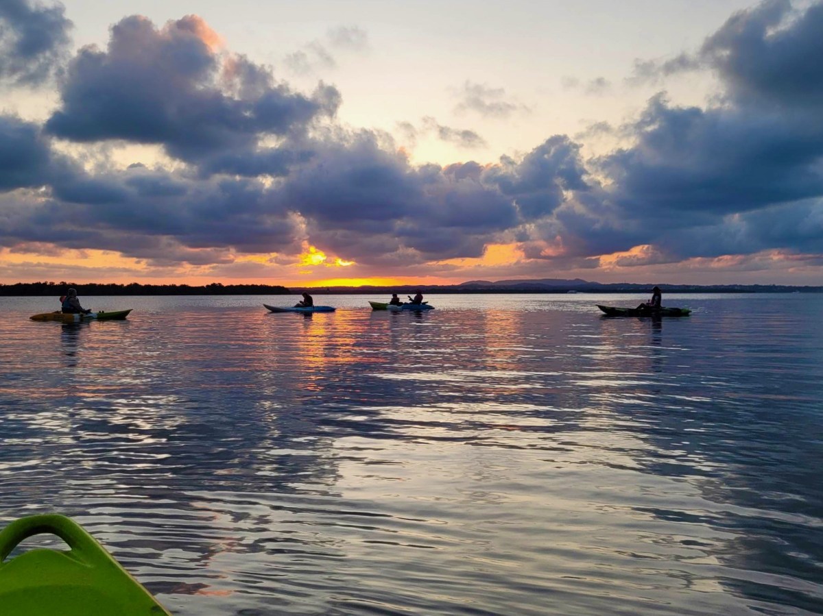 Running Wild – Youth Conservation Culture Inc…